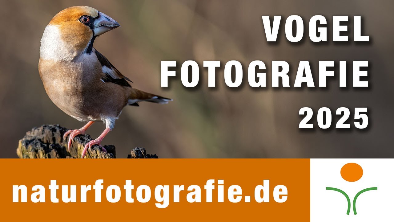 Bird Photography 2025 - naturfotografie.de