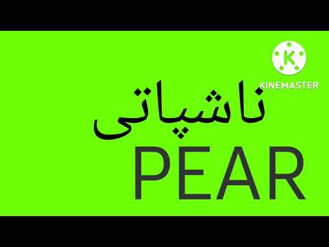 vocabulary words English learn with Urdu meaning/Pear