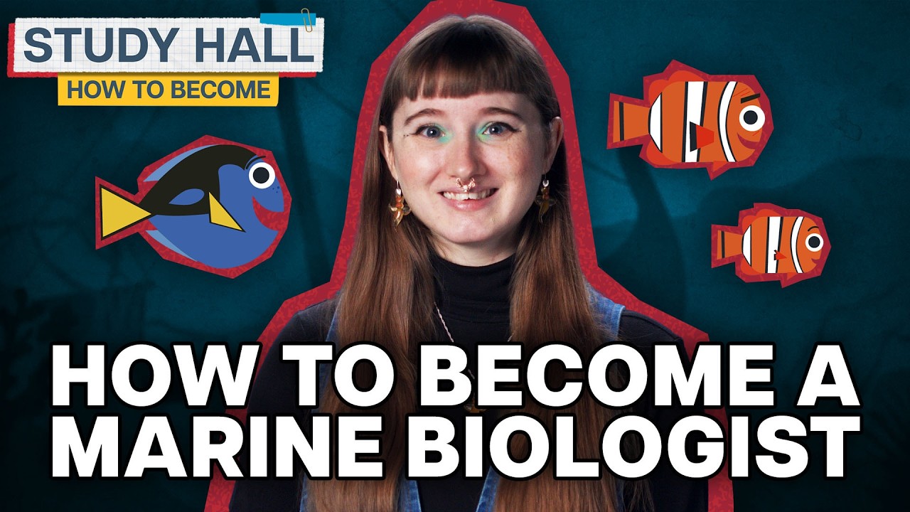 How to Become: a Marine Biologist