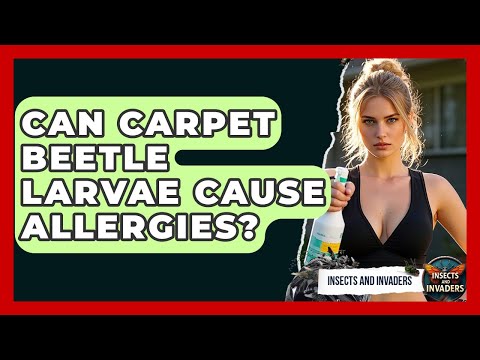 Can Carpet Beetle Larvae Cause Allergies? - Insects and Invaders