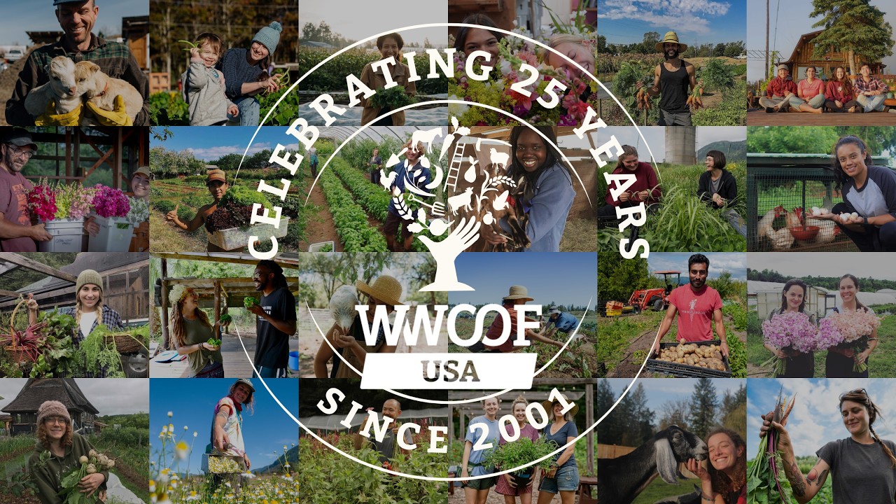 Celebrating 25 Years of WWOOF-USA 🌱 | WWOOF USA