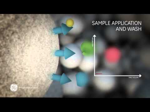 Principles of Affinity chromatography
