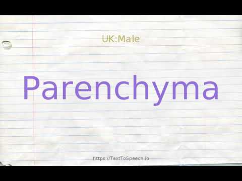 How to pronounce parenchyma