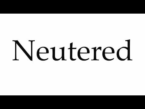 How to Pronounce Neutered