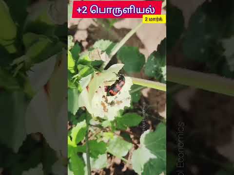 Ecology meaning in Tamil#shorts