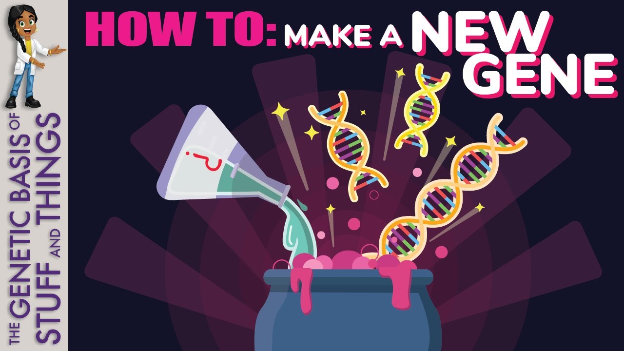 Gene duplication: The formation of new genes… genes… genes