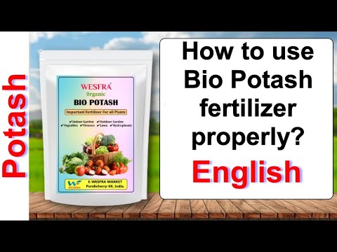 How to use Bio Potash fertilizer properly? English