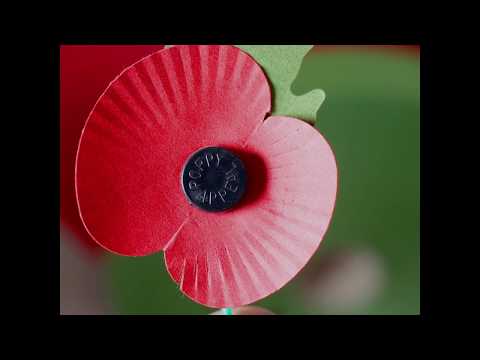 Where Do Remembrance Poppies Come From?