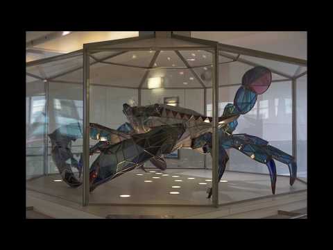 Baltimore Washington International BWI Airport Upclose Detailed