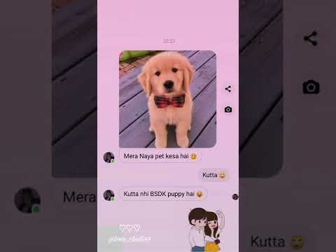 flerting chats 😉 #shorts #youtubeshort #cutecouplesstatus #chat #gfbf #explore #funny #fypシ