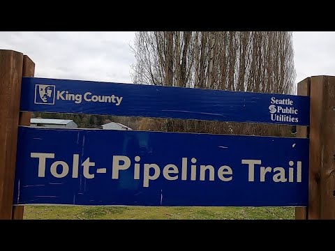 Going for a run at Tolt Pipeline