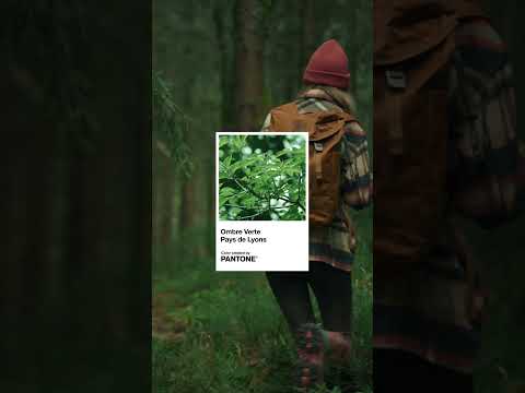 Ombre Verte - Pays de Lyons - (Pantone 7743C) Color created by PANTONE® - Eurêka (Short reel)