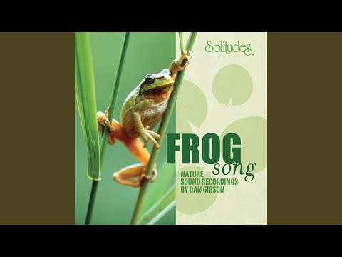 Western Chorus Frog, Spring Peeper, Wood Frog