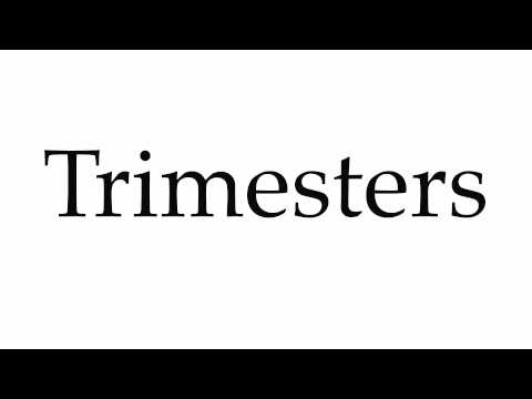 How to Pronounce Trimesters