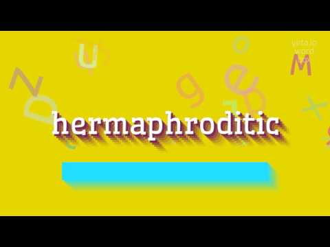 HERMAPHRODITIC - HOW TO PRONOUNCE HERMAPHRODITIC? #hermaphroditic