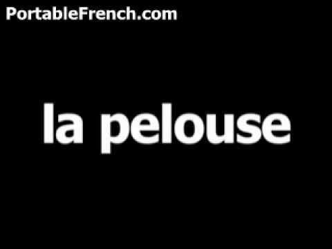 French word for lawn is la pelouse