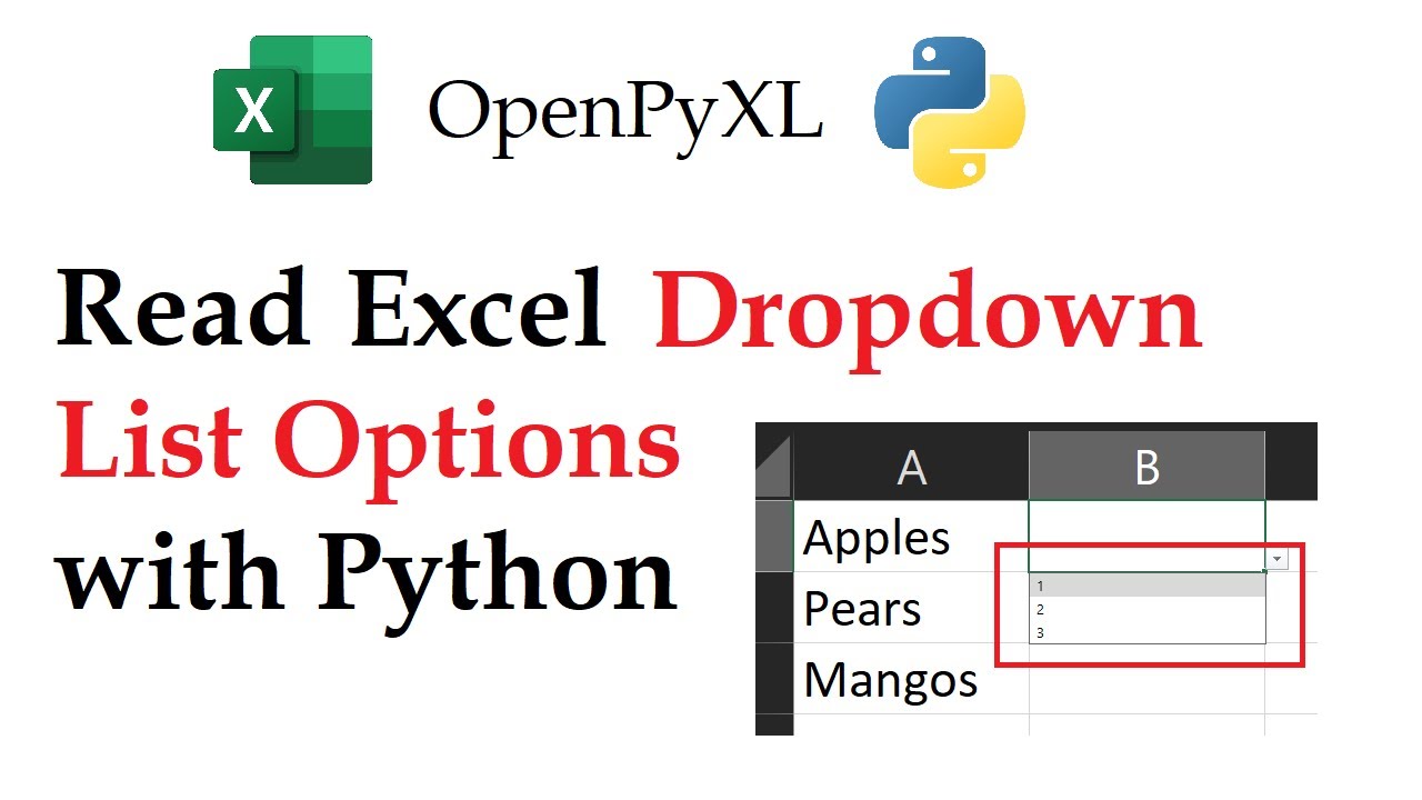 OpenPyXL Tutorial: Extract All Validation Options Fast