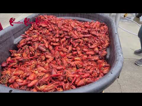 Crawfish Boil Catering by Creative Cajun Cooking