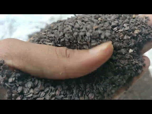 Agri Products - Tilli Safed - Til - White Natural Sesame Seeds ...