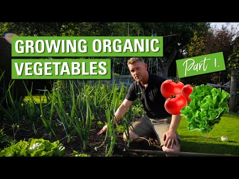 Growing Organic Vegetables Part 1