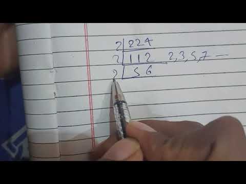 prime factors of 224