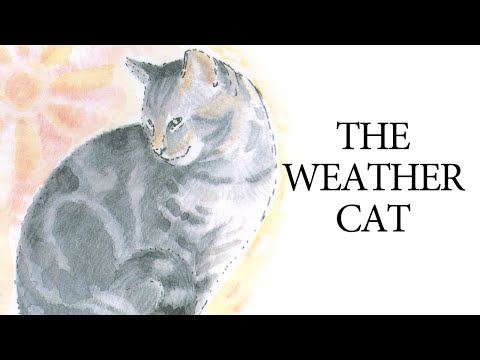 The Weather Cat