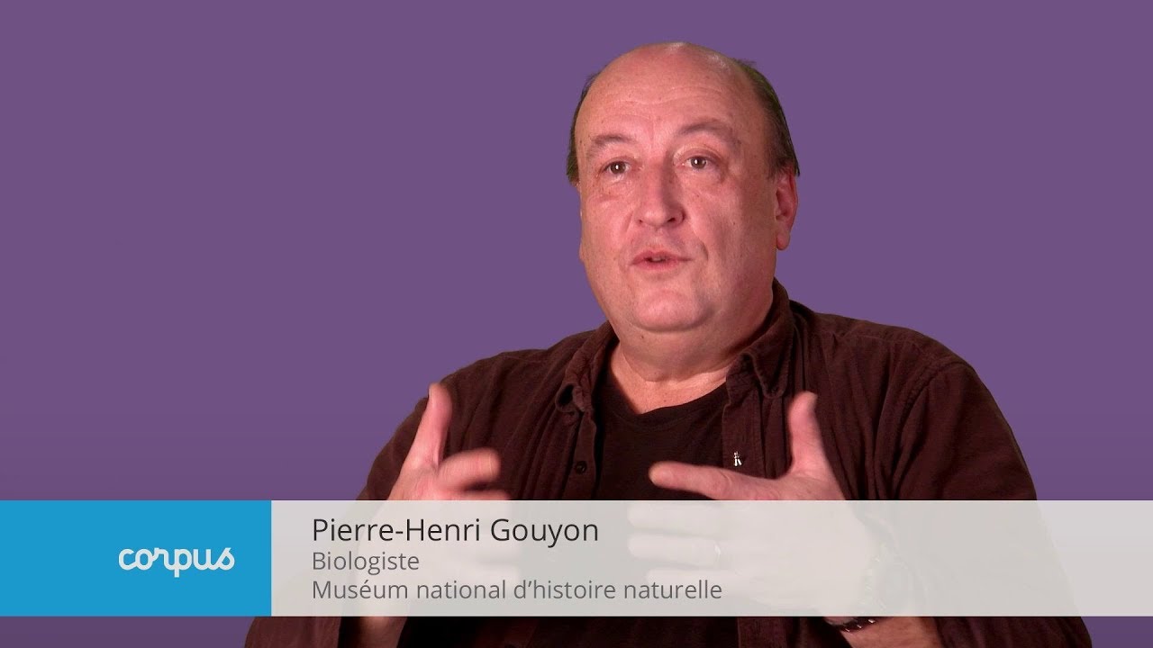 Paroles d’experts : La lignée humaine