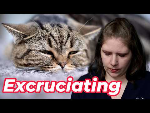 The Cat Emergency You’ve Never Heard Of: FATE