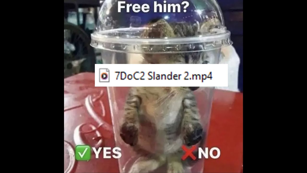7DoC2 Slander 2: General Mayhem