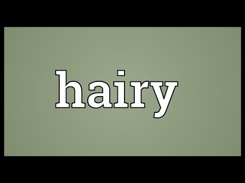 Hairy Meaning