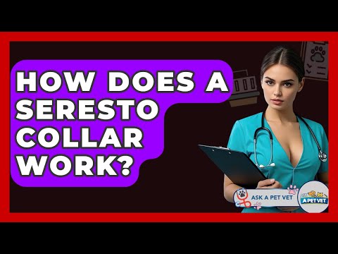 How Does A Seresto Collar Work? - Ask A Pet Vet