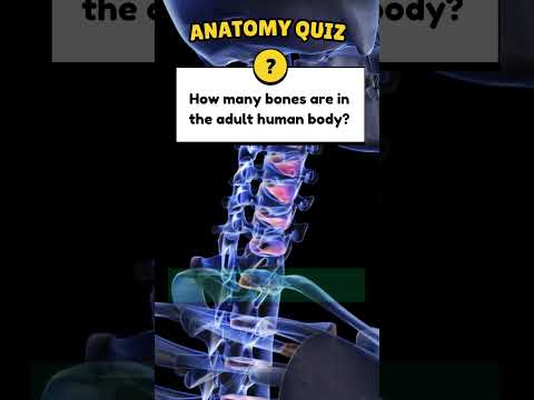 Anatomy Quiz! #anatomy #quiztime #quiz #anatomyclass