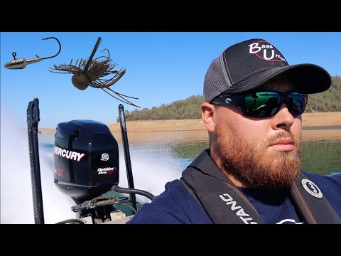 How to Rig a Darter Head Worm for Bass & My Finesse Football Jig Setup | A Quick Lake Oroville Trip