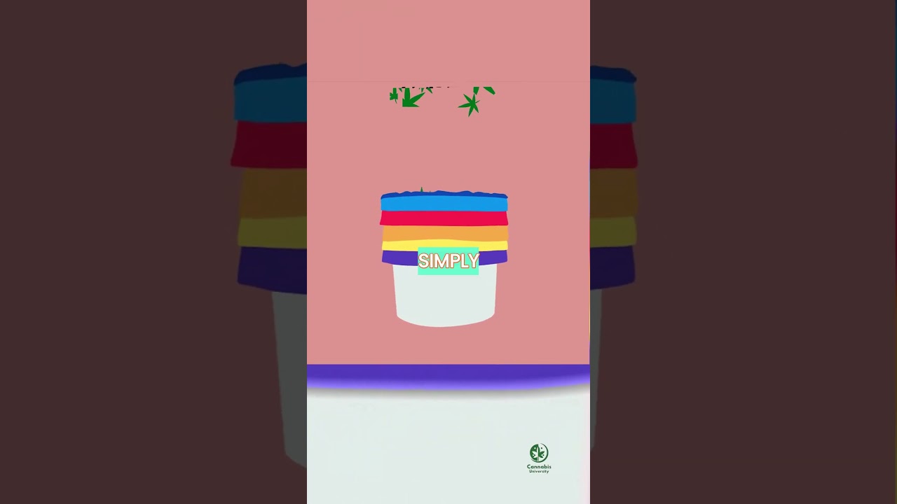 The Evolution of Hash Making: From Traditional Methods to Modern Techniques