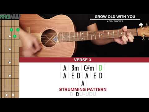 Grow Old With You Guitar Cover Adam Sandler ????|Tabs + Chords|