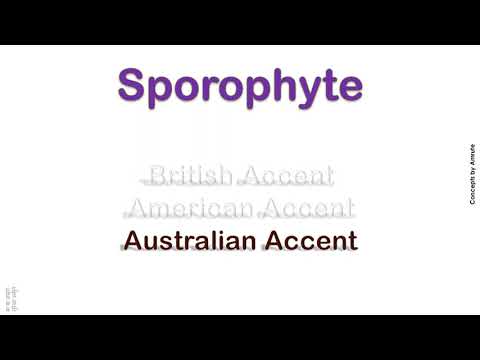 Sporophyte How to Pronounce Sporophyte in Australian Accent, British Accent, American Accent ?