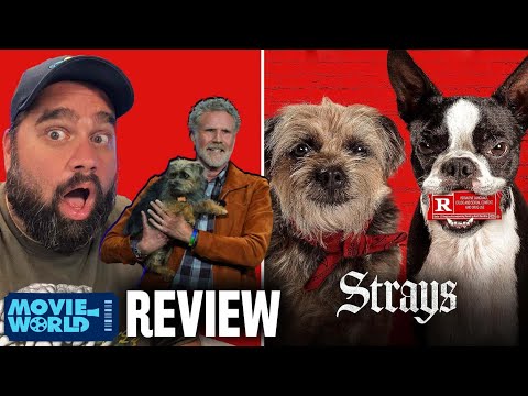 Strays REVIEW - Its Written By An Honest Trailer Writer I Fired?!