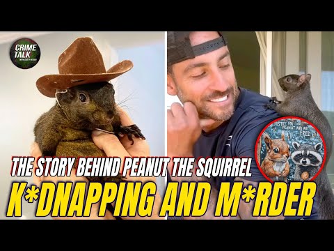 Justice for Peanut: The Story Behind Peanut the Squirrel and Fred The Raccoon K*dnapping and M*rder