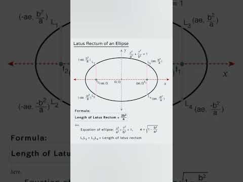 Latus Rectum | Maths Easy | In Hindi