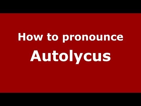 How to Pronounce Autolycus - PronounceNames.com
