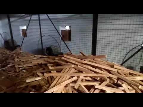 Wood Seasoning Plants - Wood Seasoning Machine Latest Price ...