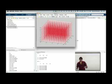 Lecture: Vectorized Time-step Integrators