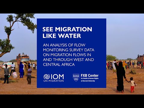 "See migration like water": An Analysis of Migration Flows in West and Central Africa
