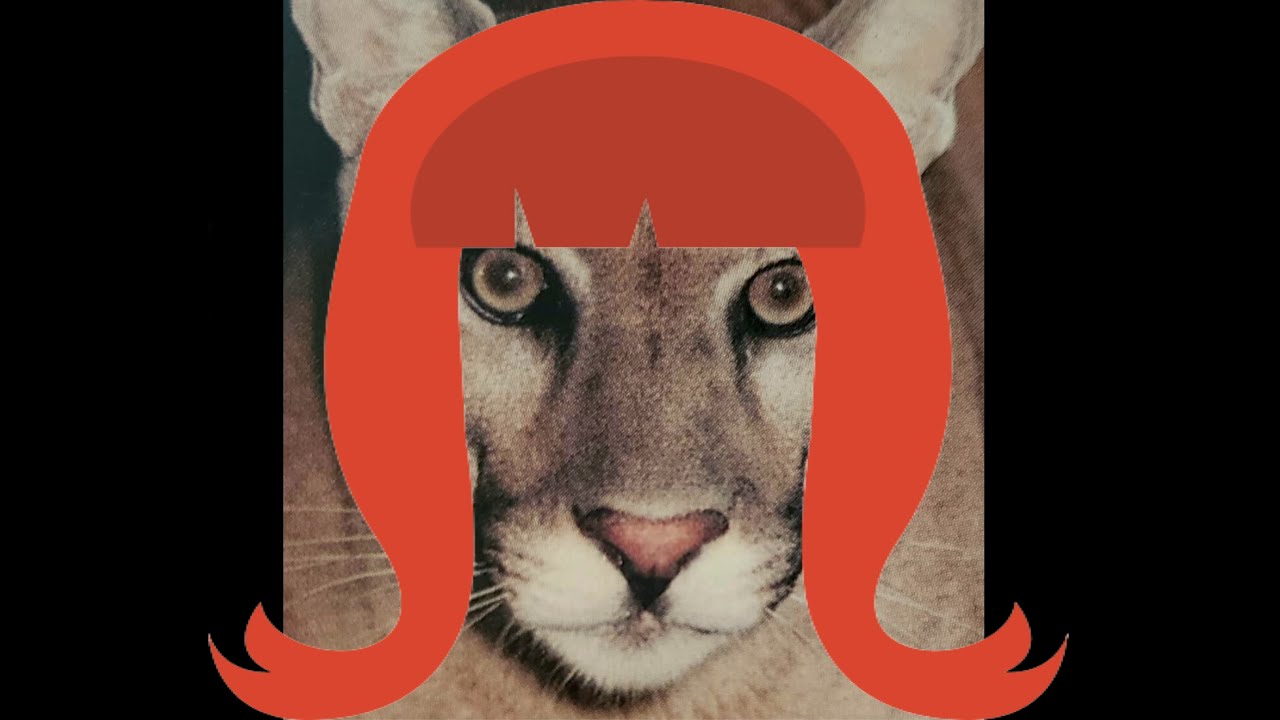 Coco Thoughts While in Solitude #41