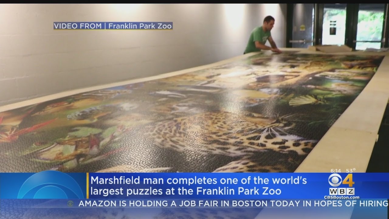 Man Completes One Of World's Largest Puzzles At Franklin Park Zoo