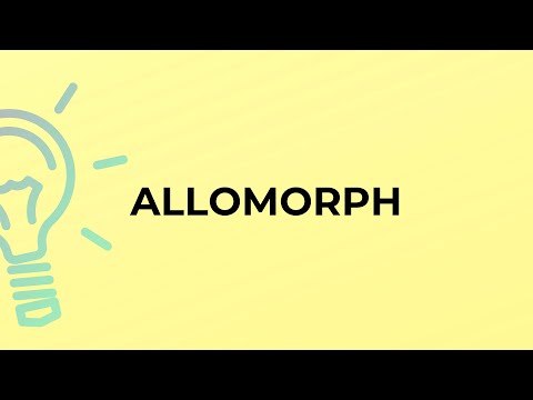 What is the meaning of the word ALLOMORPH?