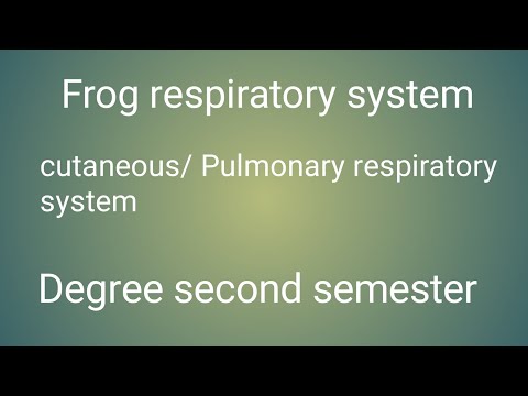 Frog respiratory system- cutaneous/ Pulmonary types