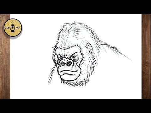 How to draw a gorilla face easy step by step for beginners