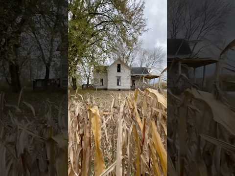 I Found Granny’s House