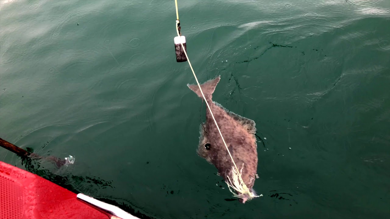 Alaska Resorts - Alaska Fishing Resorts - Elfin Cove Resort